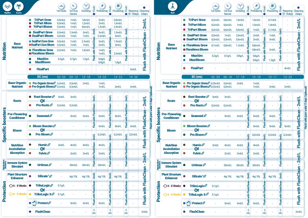GHE Ripen Final Part | iGrow